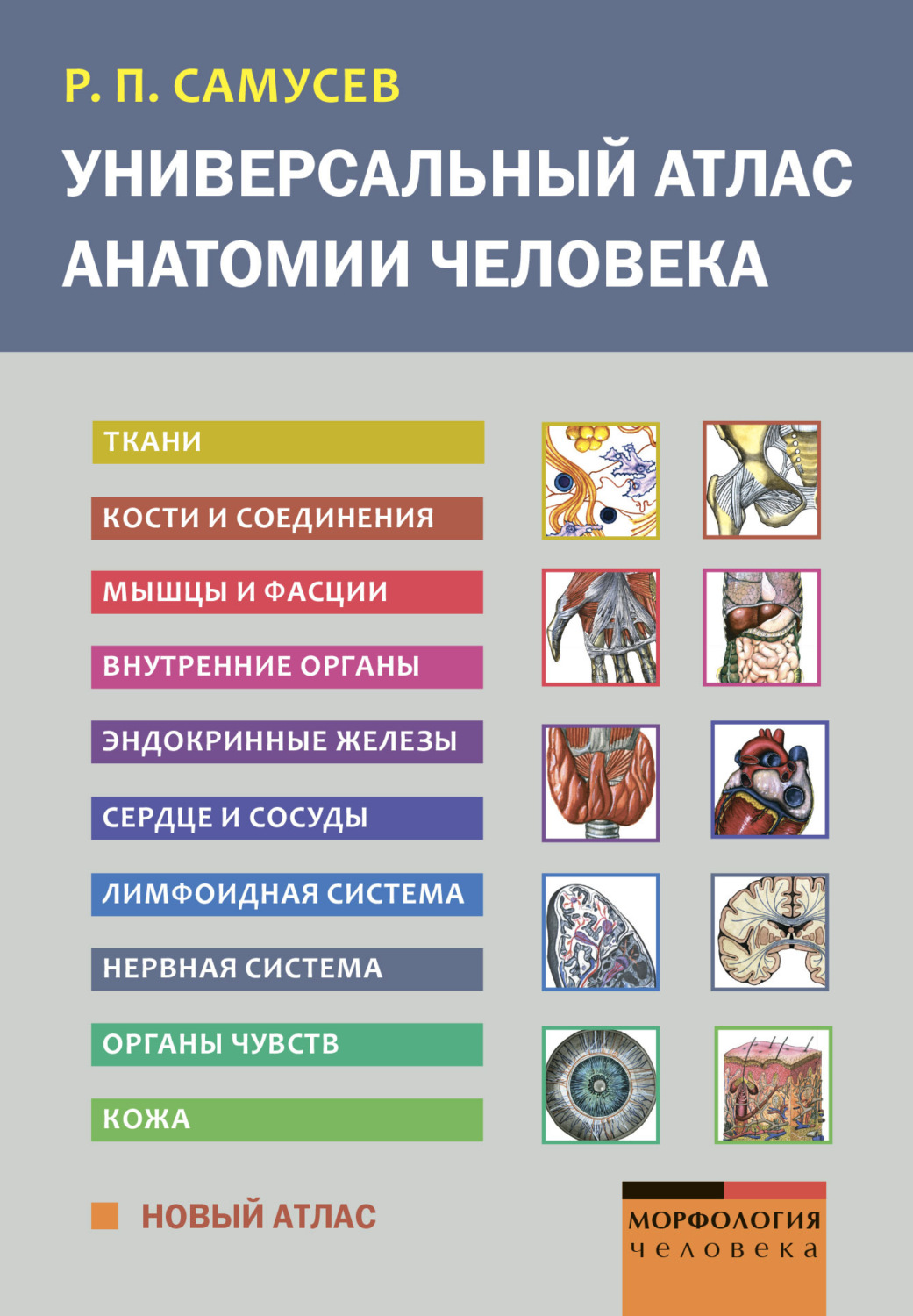 Р. П. Самусев, книга Универсальный атлас анатомии человека – скачать в ...