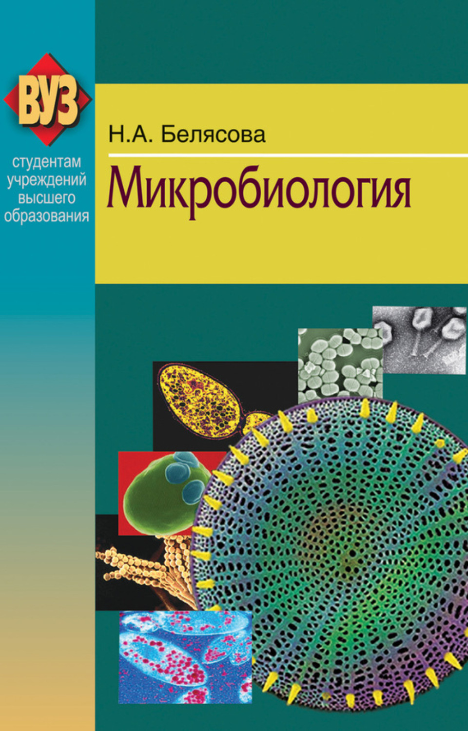 Наталья Белясова, Микробиология – скачать pdf на ЛитРес